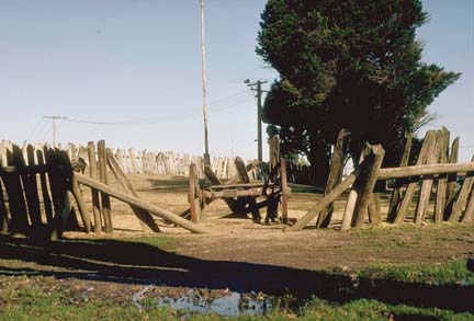 Unearthing Justice: The Significance of the 1856 Eureka Rebellion in ...