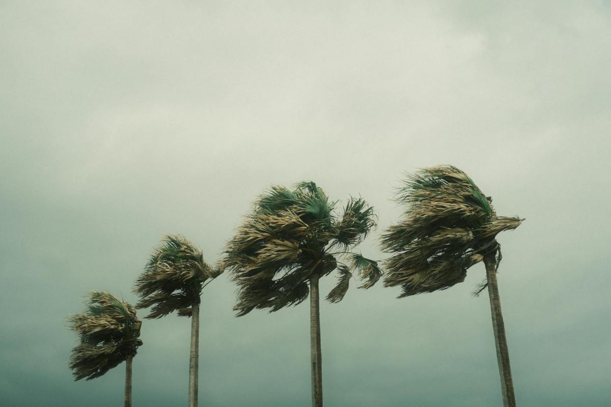 Remembering the March 4, 1899 Cyclone: Queensland’s Devastating Wake-Up ...
