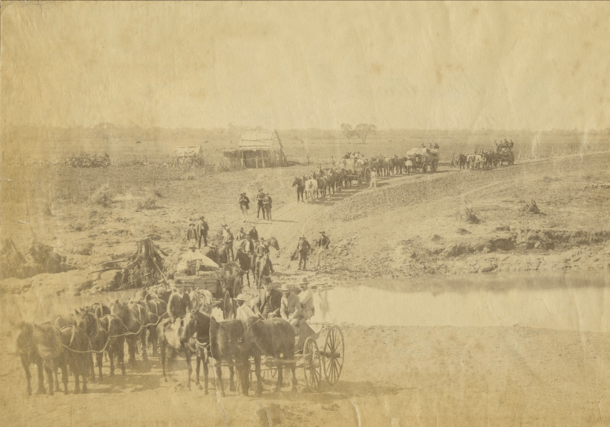 The Shearers’ Strike of 1889: A Saga of Struggle and Significance ...