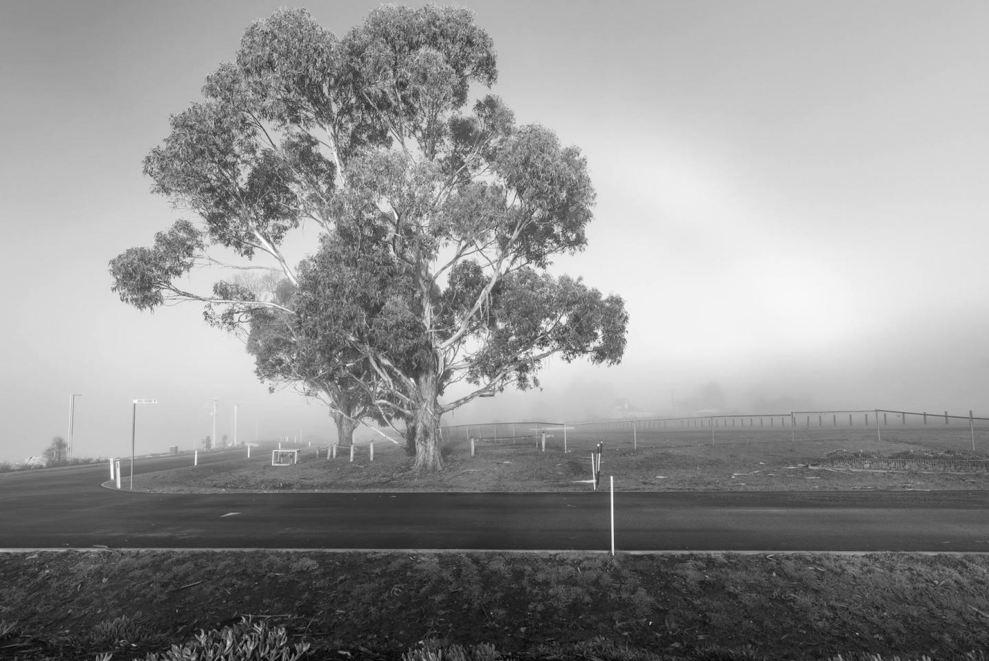 Unveiling the 1895 Federation Drought: A Turning Point in Australian ...